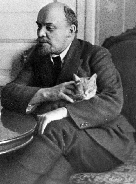 Dorofei – chacun cherche son chat | En Russie